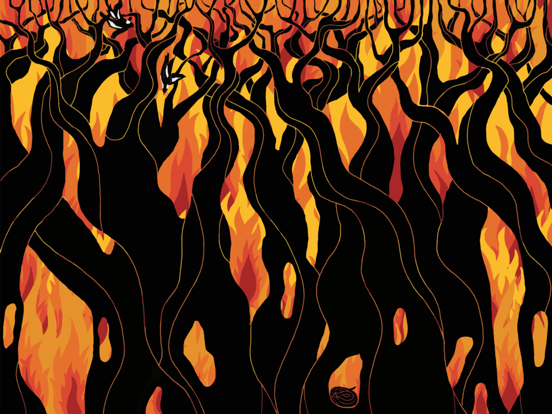 An Australian Firefighter on the Frontlines of Climate Change | Common ...