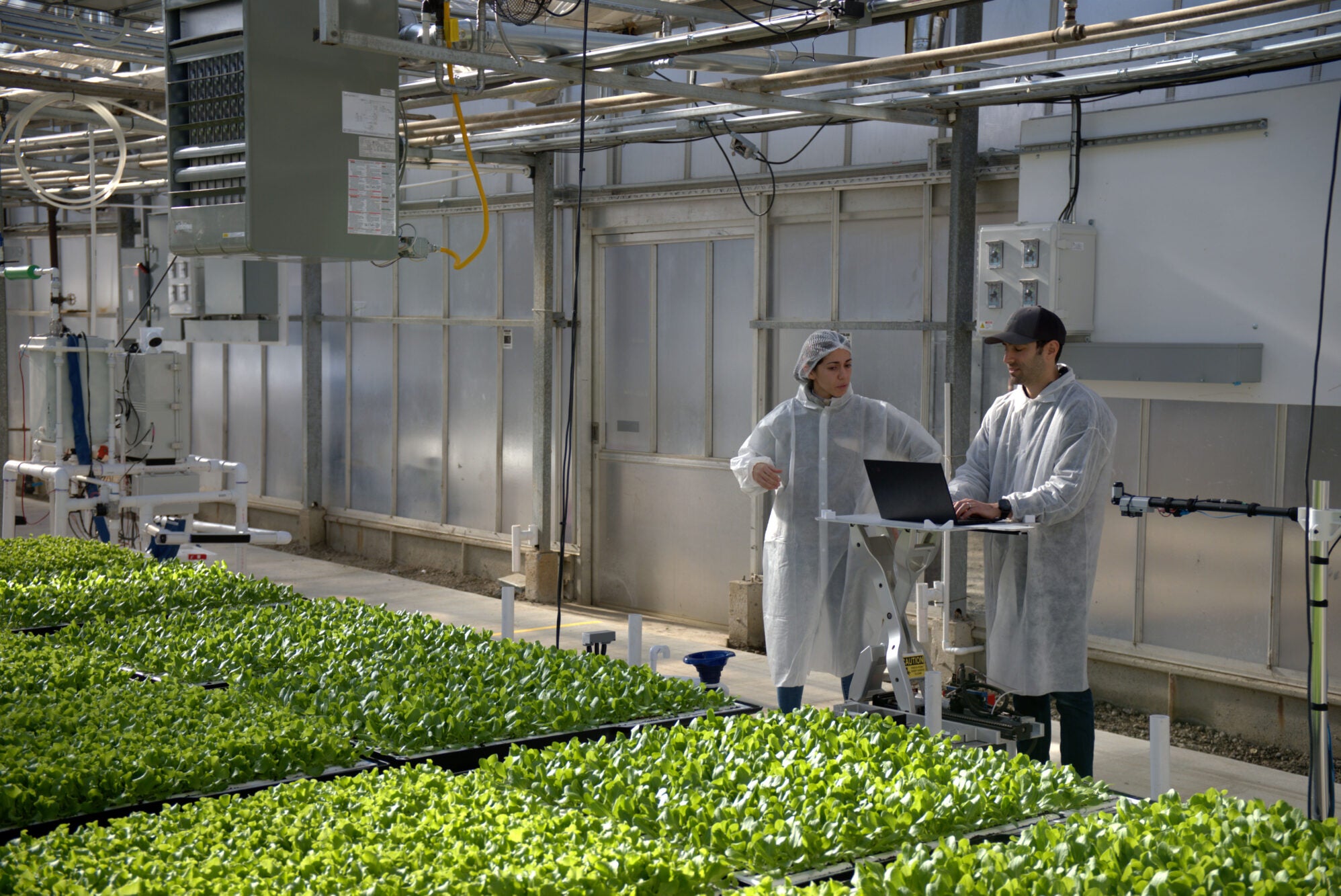 Reinventing the Food System Through Private Investment | Common Home ...