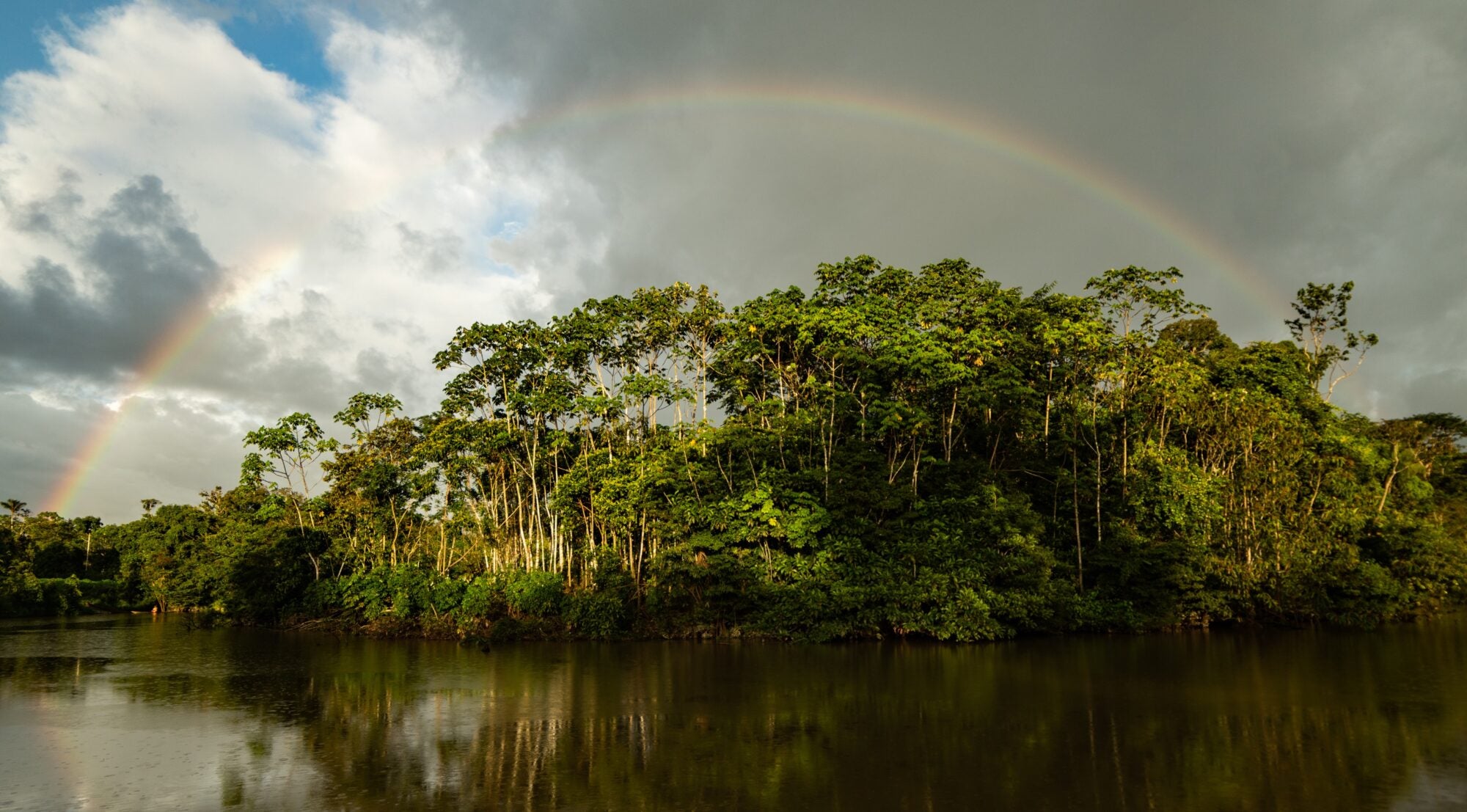 Food, Culture, and Conservation in Maijuna Lands | Common Home ...