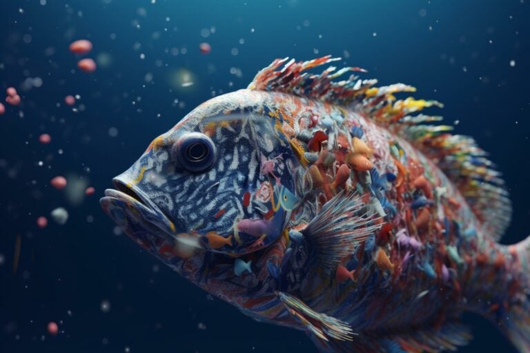 The Mega Impact of Microplastics: the Reality of the “Great” Pacific ...